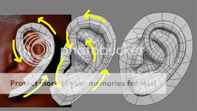 ear-steps.jpg Photo by jessope | Photobucket